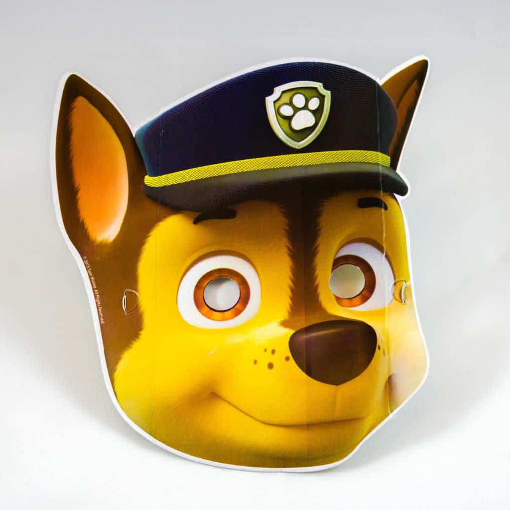 Paw Patrol Masks (8 Pack) - Captain Fantastic